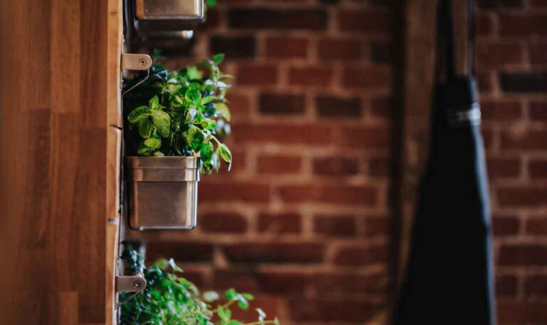 7 Must Haves For Your Eco Friendly Home – Ecospurghi